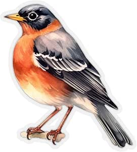 Amazon.com - American Robin Sticker Decal, Bird Watercolor Art Vinyl ...
