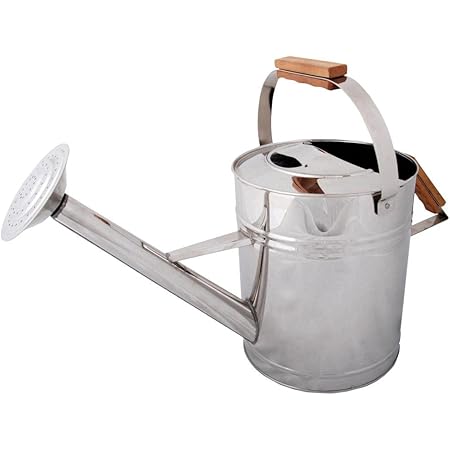 Amazon.com : Esschert Design USA GT50 Stainless Steel Watering Can ...