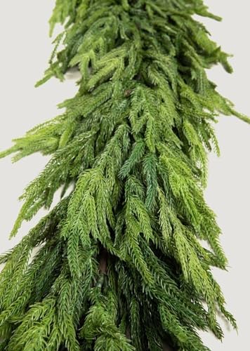 Amazon.com: Afloral Real Touch Deluxe Norfolk Pine Garland - 96" : Home & Kitchen