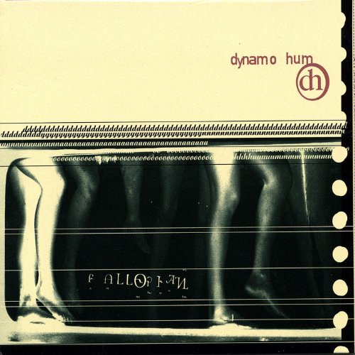 Amazon.com: Fallopian : Dynamo Hum: Digital Music
