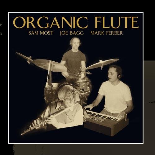 Organic Flute by Sam Most - Joe Bagg - Mark Ferber - Amazon.com Music