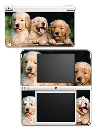 Amazon.com: Cute Golden Labrador Retriever Puppy Pals Dog Friends Video ...
