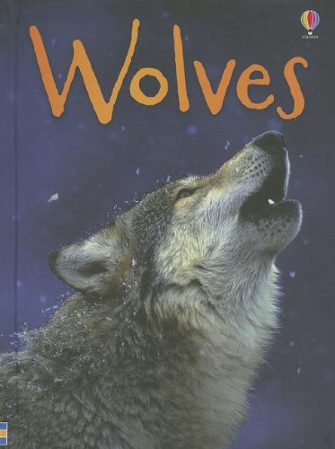 Wolves (Usborne Beginners) : Amazon.co.uk: Books