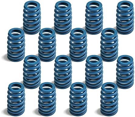 Amazon.com: Nakkaa Drop-In Beehive Valve Spring Kit 1218 PAC-1218 ...