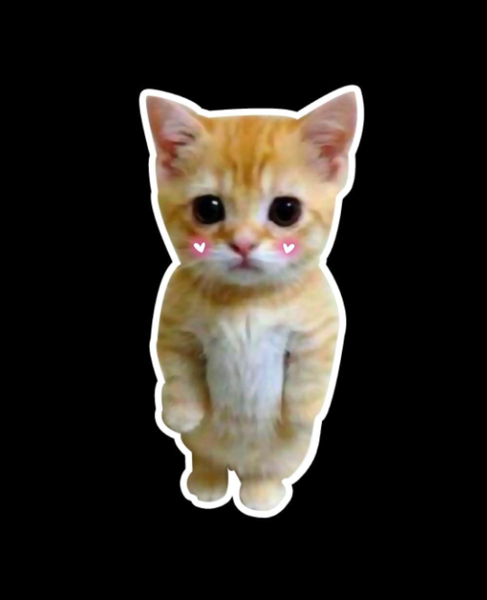 Amazon | Sad Cat Meme Notebook: Cat Meme Funny Ginger Orange Kitten ...