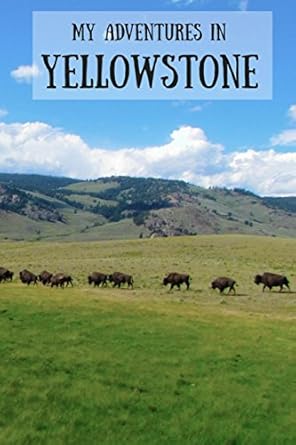 Amazon.com: My Adventures in Yellowstone: Travel Journal for Kids ...