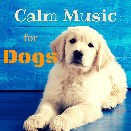 Amazon Music - Music for Dog's EarsのCalm Music for Dogs – Relaxing ...