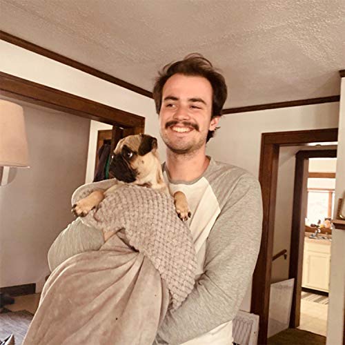 Play Slow Down, Annemarie by Luke McGovern on Amazon Music