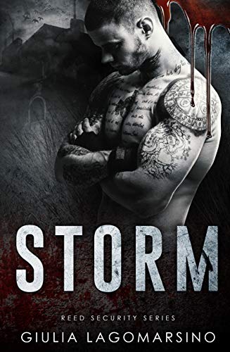 Storm: A Reed Security Romance eBook : Lagomarsino, Giulia: Amazon.co ...