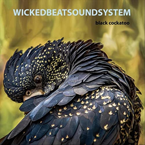 Amazon MusicでWicked Beat Sound SystemのBlack Cockatooを再生する
