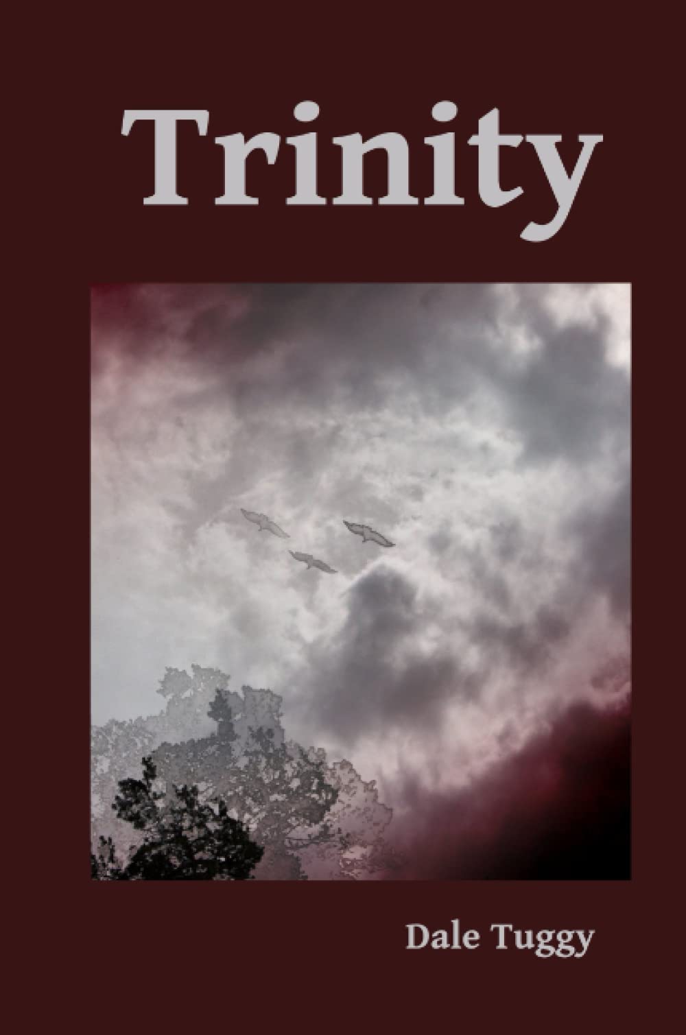 Trinity: Tuggy, Dale: 9781304587886: Amazon.com: Books