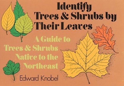 Identify Trees and Shrubs by Their Leaves: Amazon.co.uk: Knobel, Edward ...