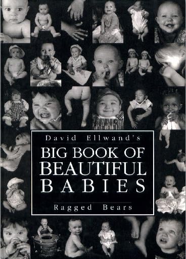 Big Book of Beautiful Babies: David Ellwand: 9781857140798: Amazon.com ...