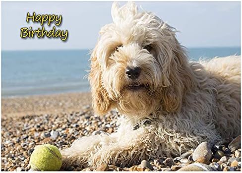 Cockapoo Dog Birthday Card : Amazon.co.uk: Stationery & Office Supplies