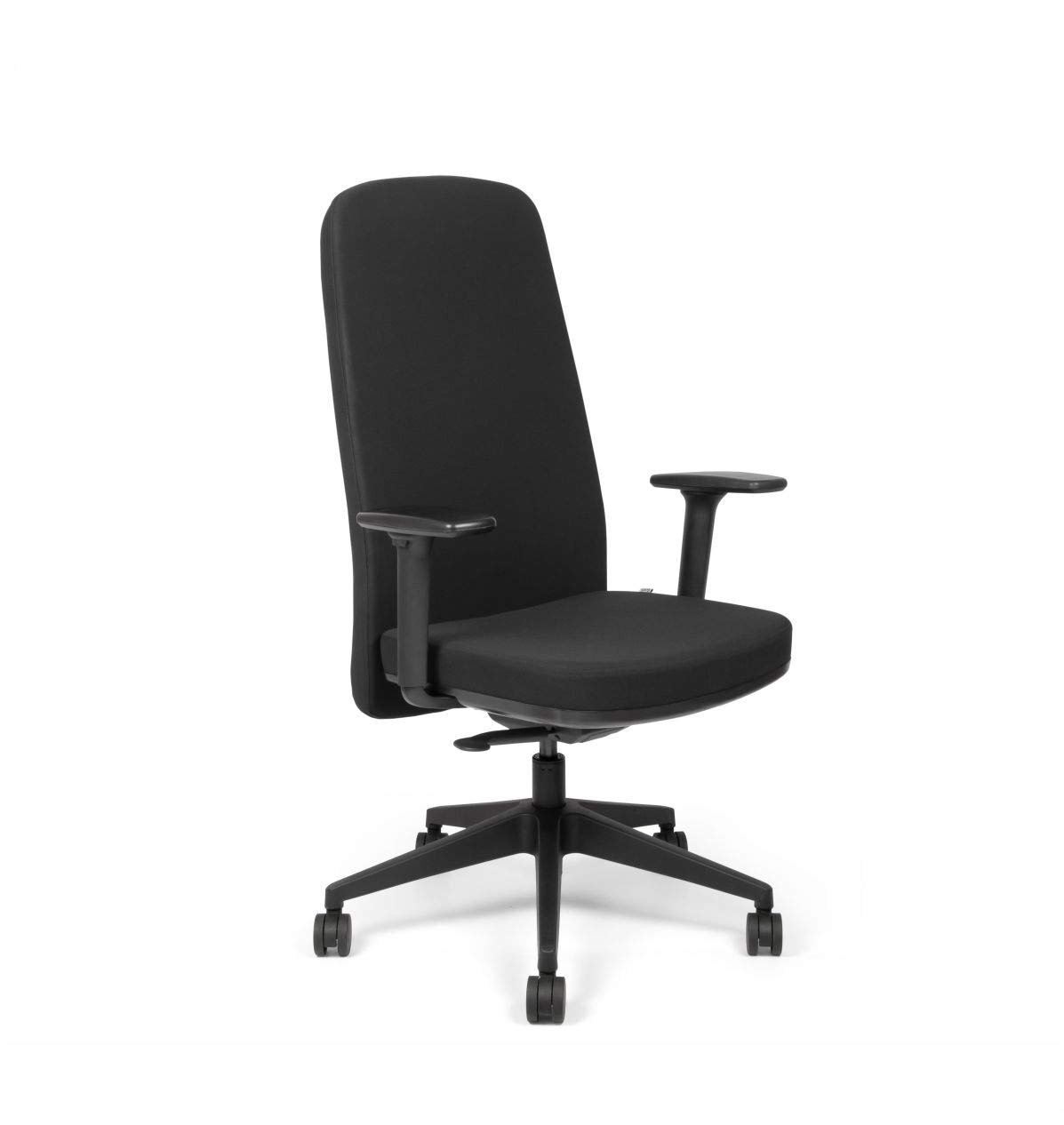 SOS Spacewood LiteOffice Aura High Back Nylon Base Ergonomic Office ...