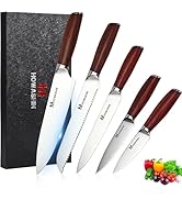 Amazon.com: Howashin 5PCS Kitchen Knives Set, Professional Chef Knife ...
