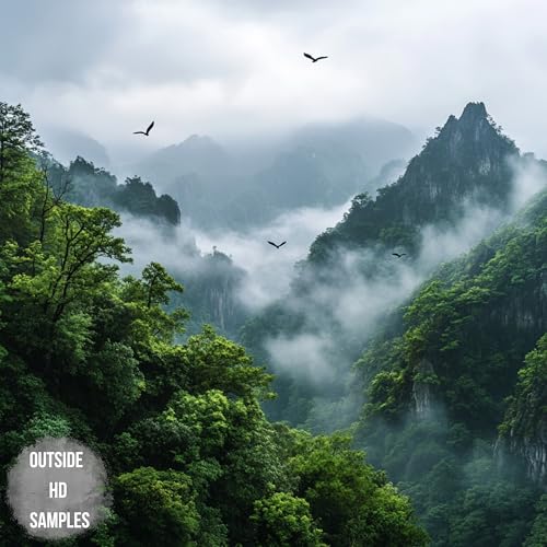 Play Blissful Zenith by Dormiente, Outside HD Samples & KEI NATURE on ...