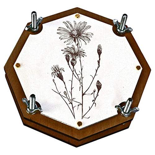 Amazon.com: Original Botanical wooden flower leaf press for Herbarium ...