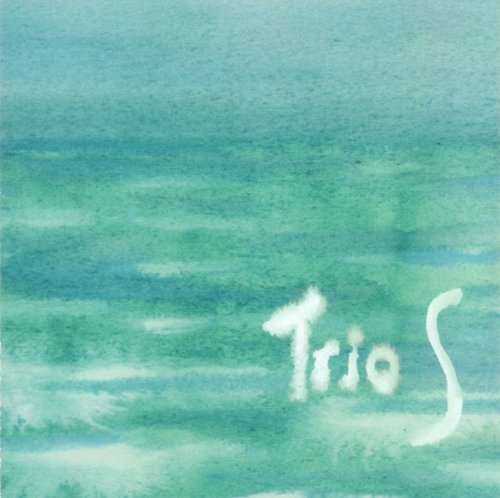 Doug Wieselman, Kenny Wollesen, Jane Scarpantoni - Trio S - Amazon.com ...