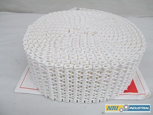 NEW INTRALOX 1100 PP FG WHITE CONVEYOR 20FT 4 IN BELT D209899: Amazon ...