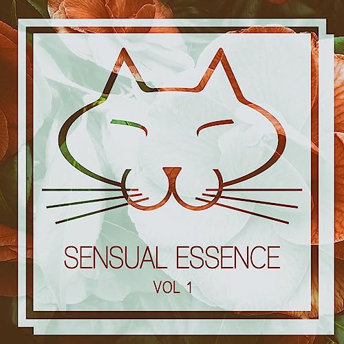 Amazon MusicでVARIOUS ARTISTSのSensual Essence, Vol. 1を再生する