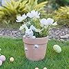 Amazon.com : Easter - Spring Flower Pot - Bunny Decor - Easter ...