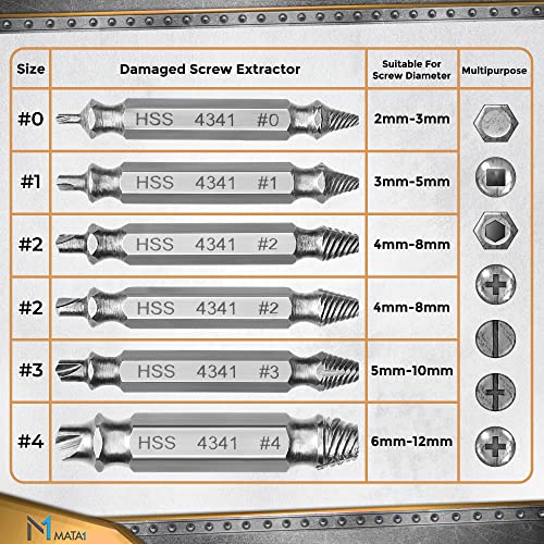 Double-Sided Screw Extractor Set (6 pc, Stainless Steel), Stripped ...