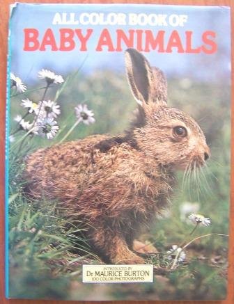 All Color Book of Baby Animals 100 Color Photographs: unknown author ...