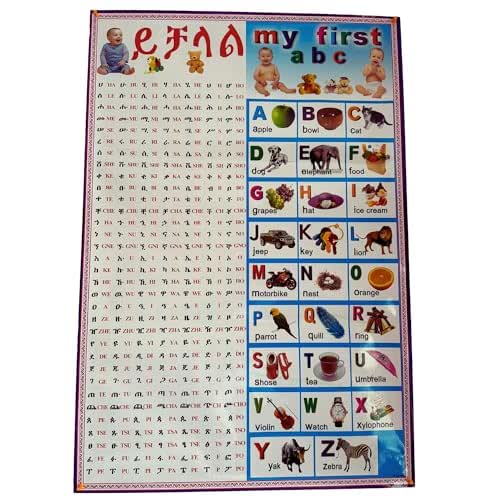 Amazon.com: Amharic Language Learning alphabet, Fidel (ፊደል), Amharic ...