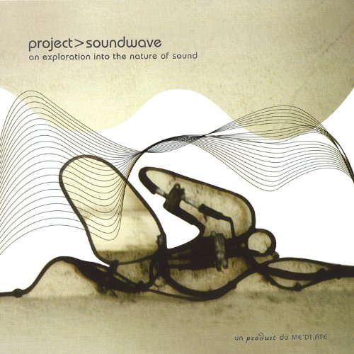 Project>Soundwave: An Exploration into the Nature of Sound von VARIOUS ...