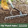 Amazon.com : Berry&Bird 58.3" Long Handle Thatch Rake, 10 Tines Garden ...