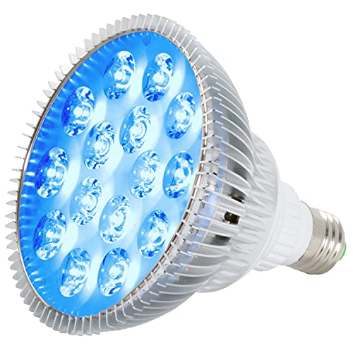 Top 5 Blue LED Grow Light For Veg And Flower [2023 Review]