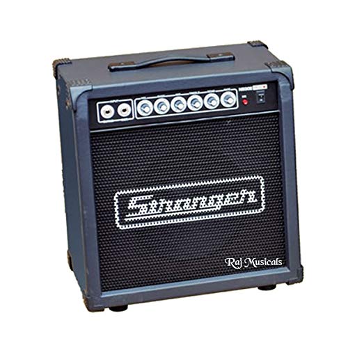 Stranger NS30 E Guitar Keyboard Amplifier 30watts : Amazon.in: Musical ...