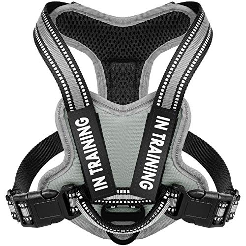 Bolux Dog Harness No Pull Reflective Breathable | My Dog Training Collar