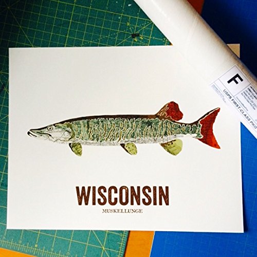 Amazon.com: Wisconsin State Fish, Map art, Nature Outdoor art, Vintage ...