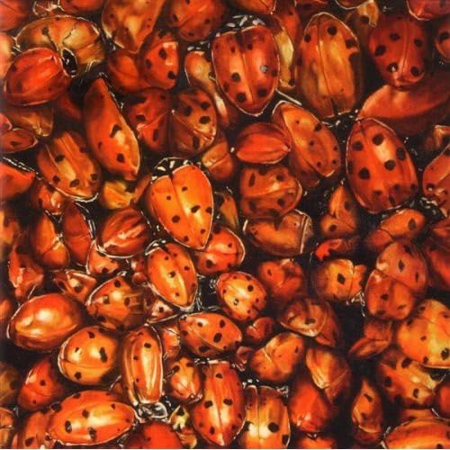 The Tonights, Anthony Lycenko, Michael Squire, Rob Gallagher - Tonights ...