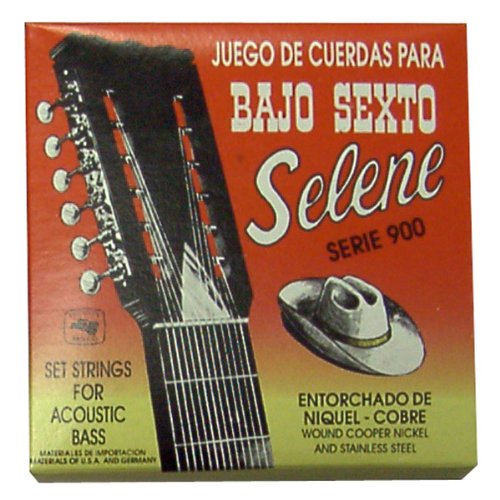 Paracho Elite BS900S Bajo Sexto 12 String Set : Amazon.in: Musical ...