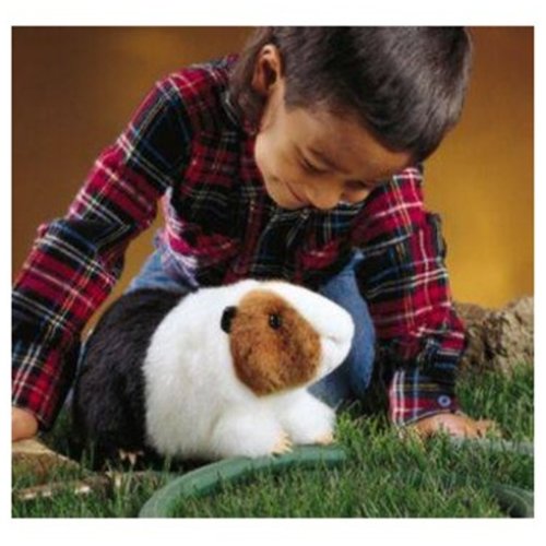 Buy Guinea Pig Puppet Online at Low Prices in India - Amazon.in