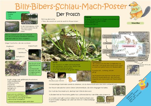 Billy-Bibers-Schlau-Mach-Poster - Der Frosch : Brühl, Katrin von ...