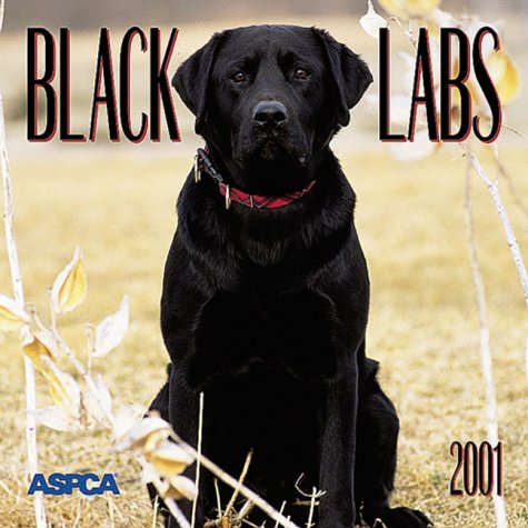 Black Labrador Retrievers 2001 Calendar: Unknown Author: 9780763129347 ...