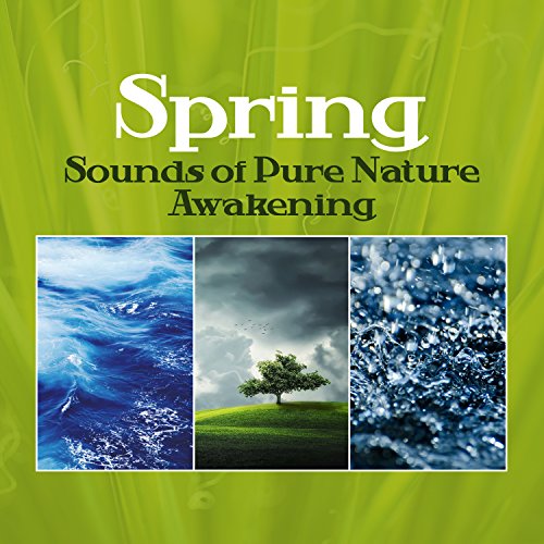 Sunkissed Meadow song by Nature Sounds Collective from Spring: Sounds ...