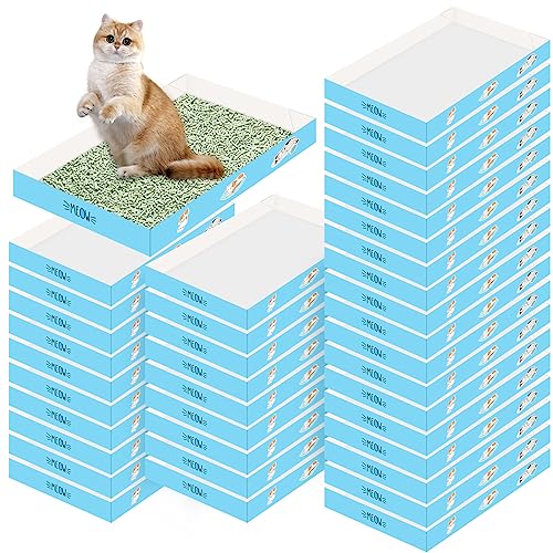 Paper Litter for Cats – The 15 best products compared - Wild Explained