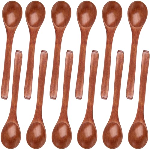HANSGO 12PCS Small Wooden Spoons, 5 inches Mini Wooden Salt Spoons ...