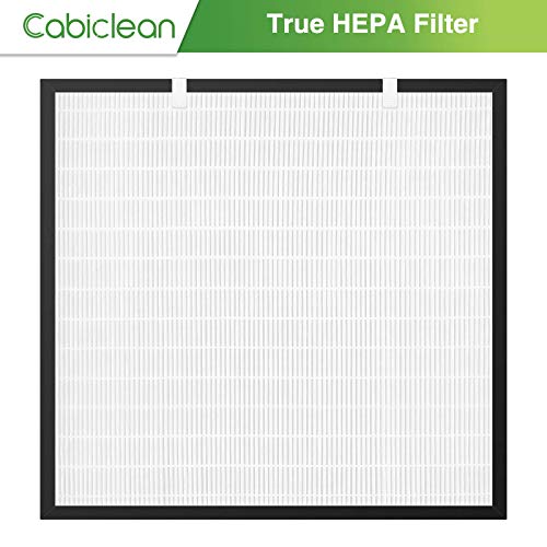 Snapklik.com : RFM80 H13 True HEPA Replacement Filter For ORANSI Max ...