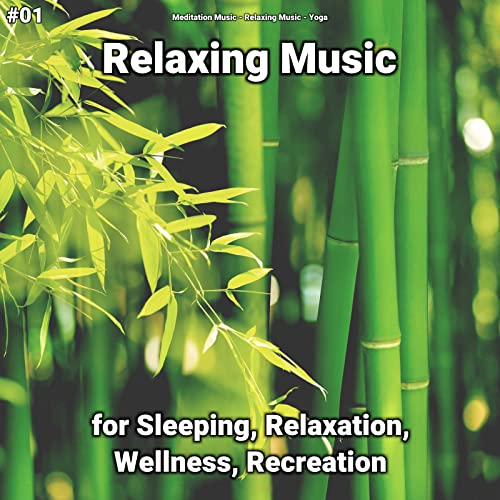 #01 Relaxing Music for Sleeping, Relaxation, Wellness, Recreation by ...