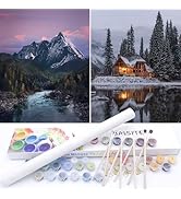 Amazon.com: BAISITE Paint by Numbers Kit for Adults Beginners,16" Wx20 ...