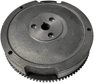 Amazon.com : POWER PRODUCTS Flywheel with Gear and Magneto for Electric ...