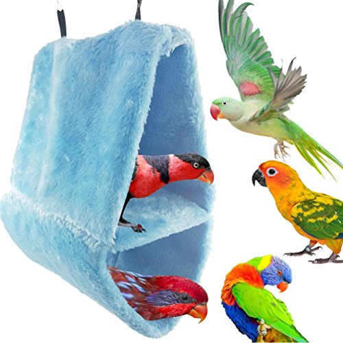 How Do Parakeets Sleep? (And Tips for Better Sleep) (2021)