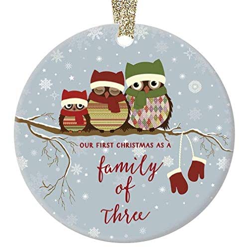 Amazon.com: First Christmas as a Family of Three Ornament Cute Owl ...