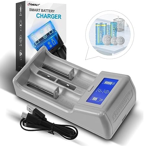 Amazon.com: CT-ENERGY Smart Household Battery Charger AA/AAA/C/18490 ...